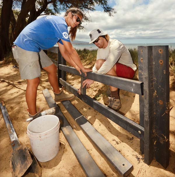 Fixing fencing to keep turtles safe | News, Sports, Jobs - Maui News